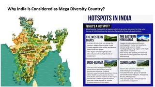 India as Mega Biodiversity Presentation.pptx