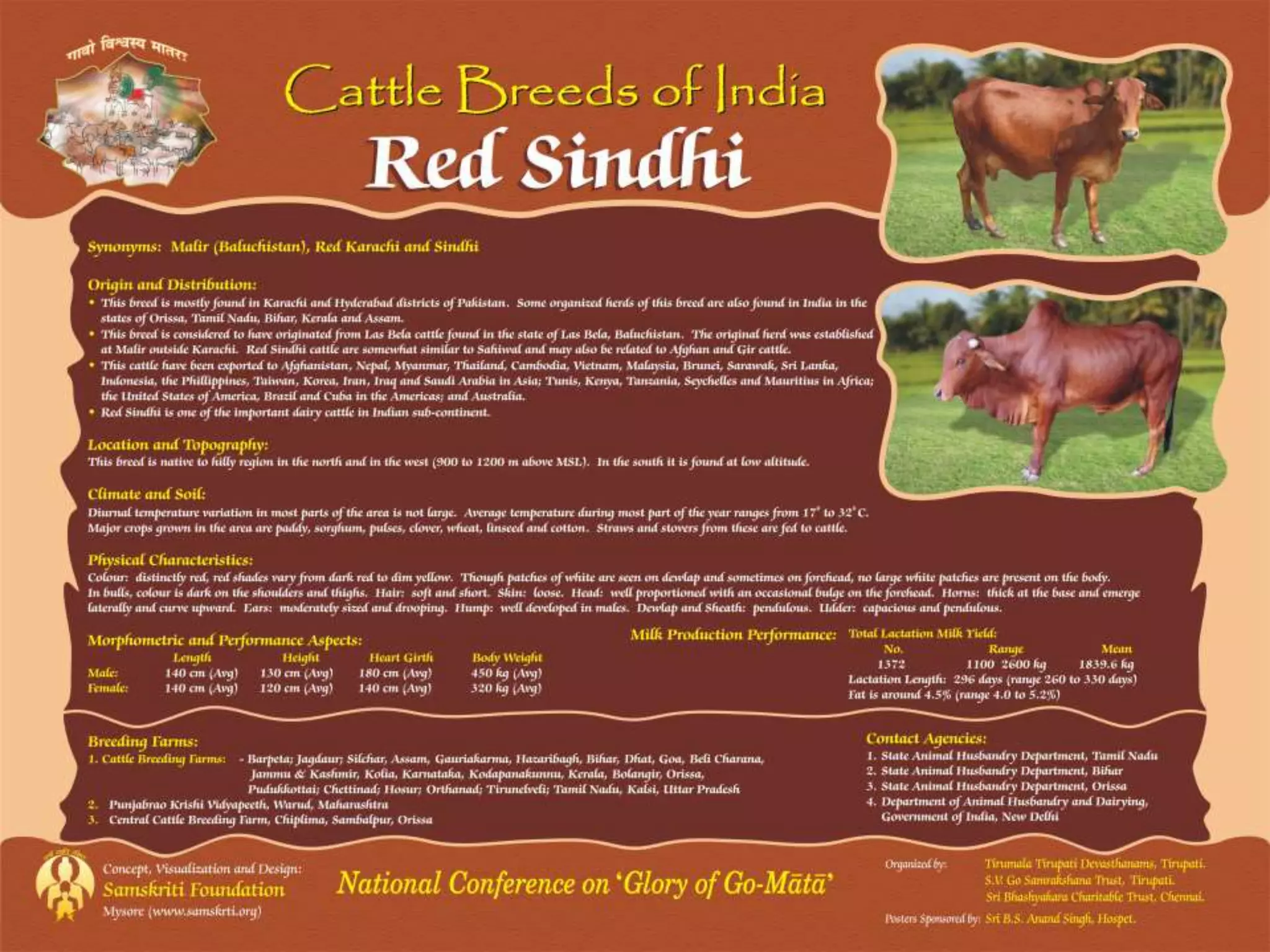 Glory of Go-Mata | PPT