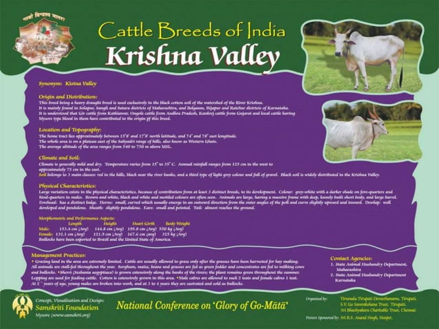 Glory of Go-Mata | PPT