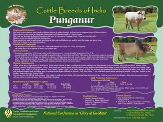 Glory of Go-Mata | PPT