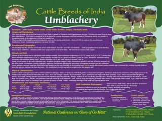 Glory of Go-Mata | PPT