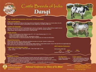 Glory of Go-Mata | PPT