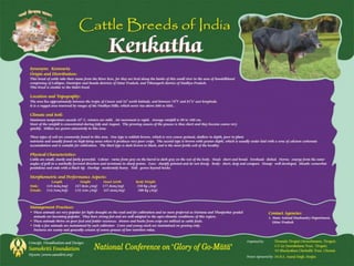 Glory of Go-Mata | PPT