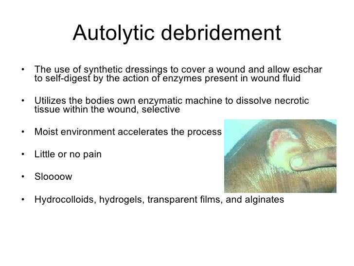 Indi Adressing Final