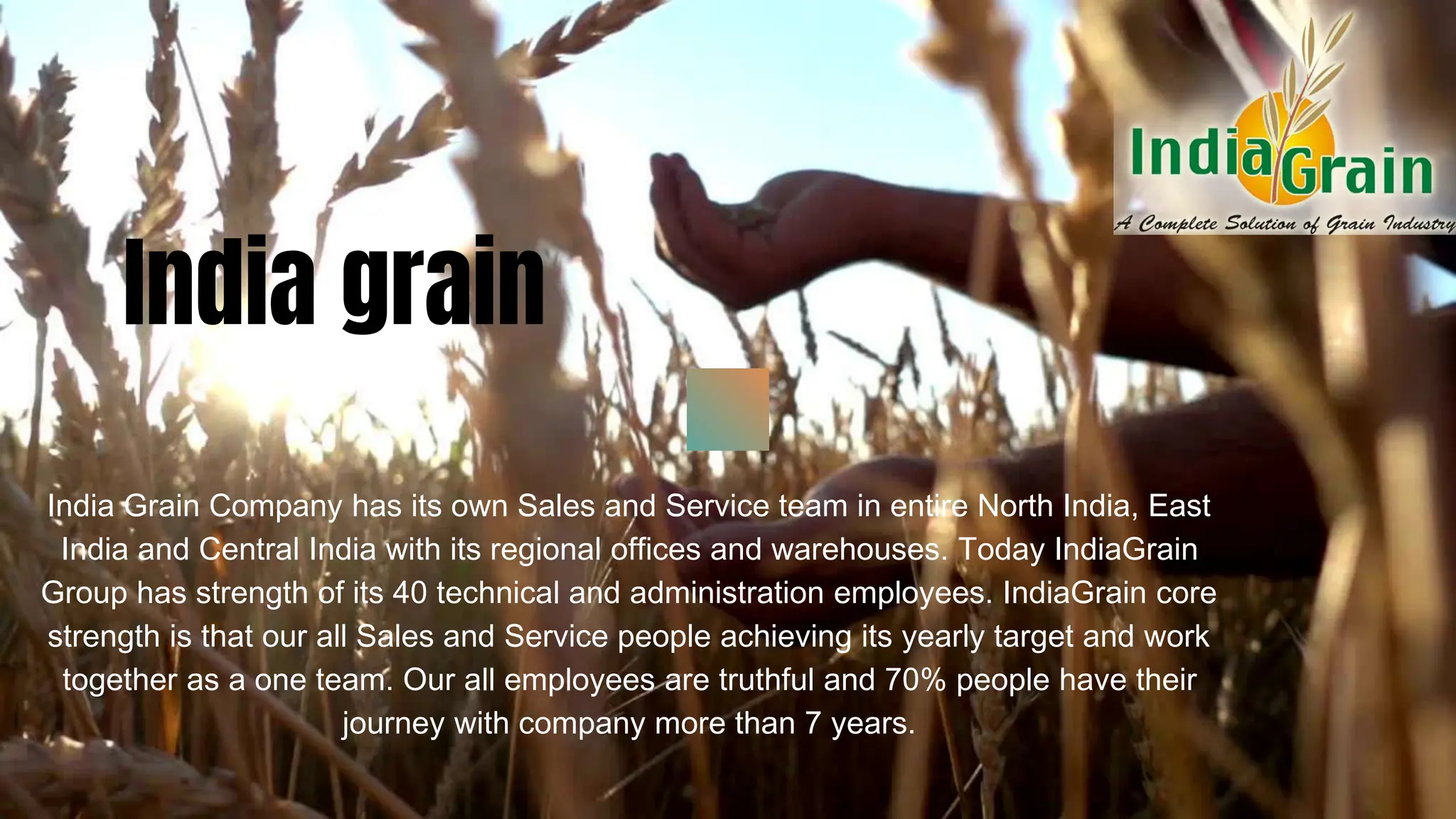 india grain PPt.pptx