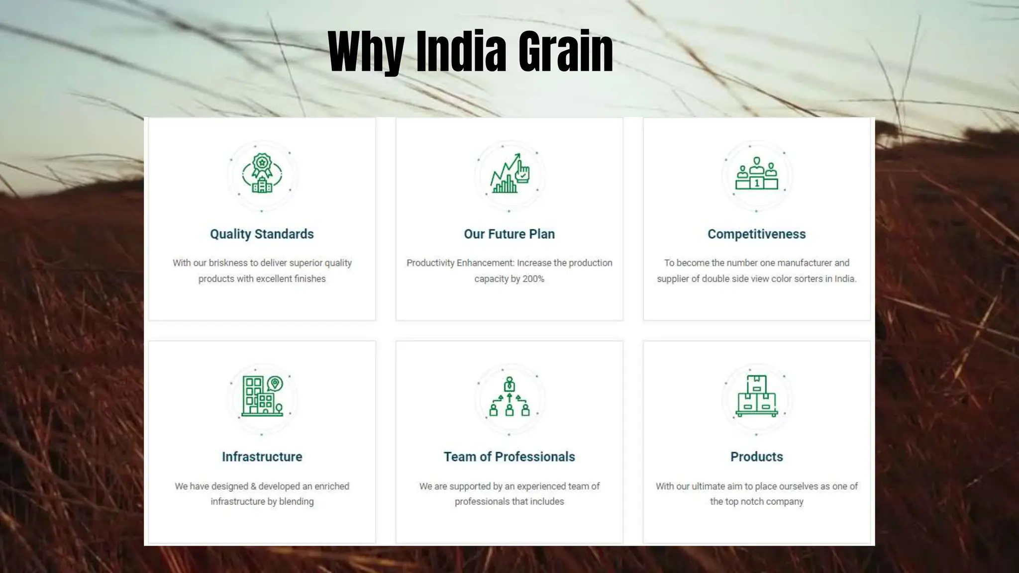 india grain PPt.pptx