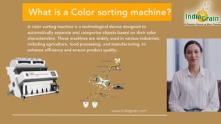 india grian PPt.pptx