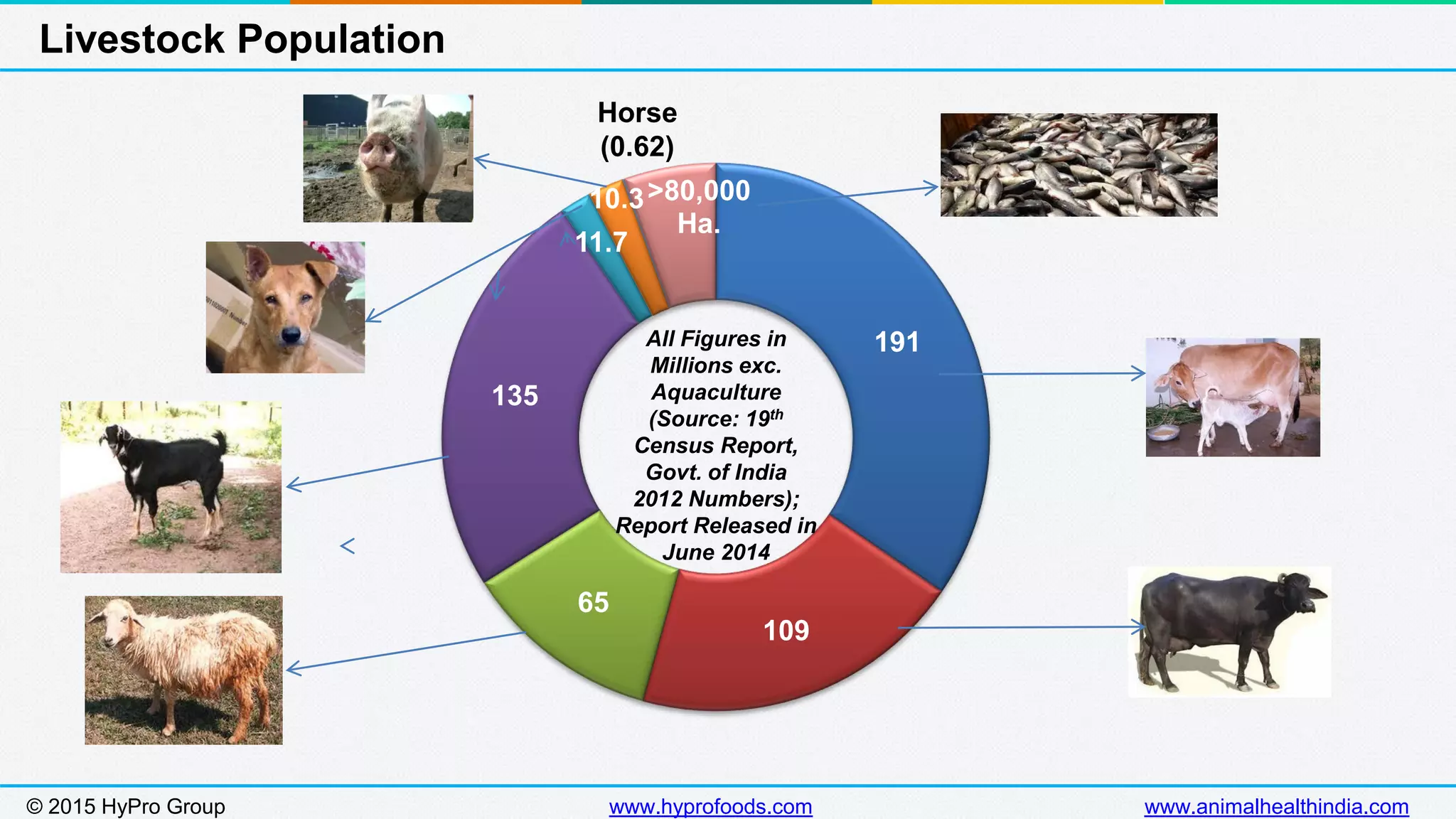 Animal Feed Industry in India / Livestock Feed Industry / Poultry Feed ...