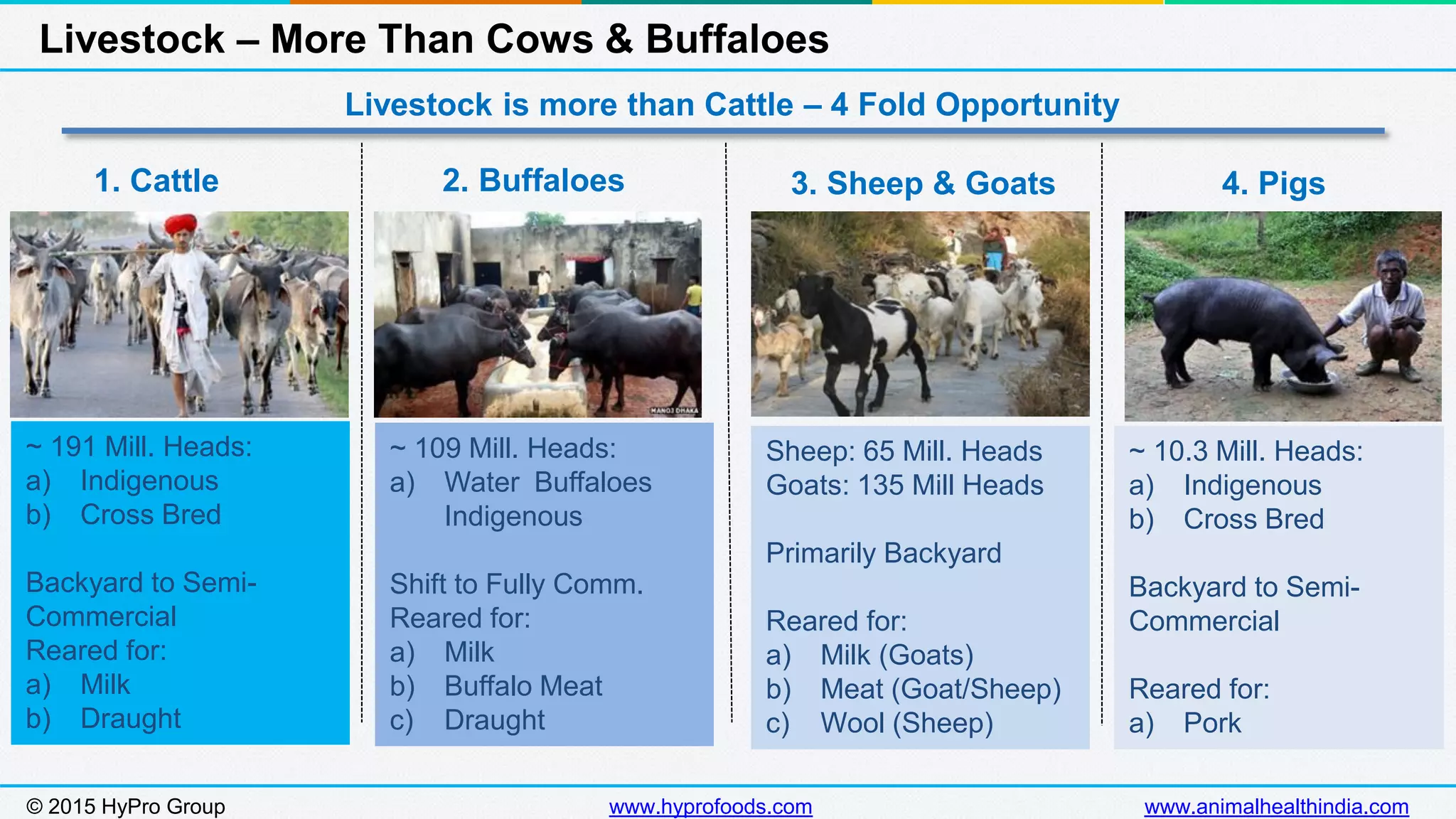 Animal Feed Industry in India / Livestock Feed Industry / Poultry Feed ...