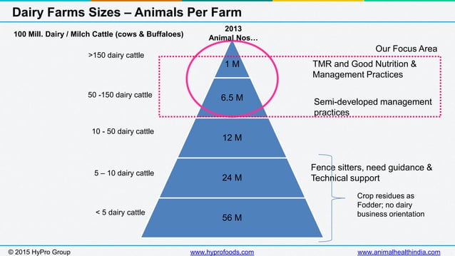 Animal Feed Industry in India / Livestock Feed Industry / Poultry Feed ...