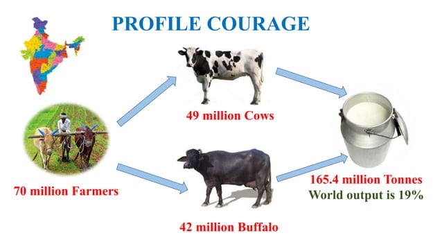 India milk production | PPTX