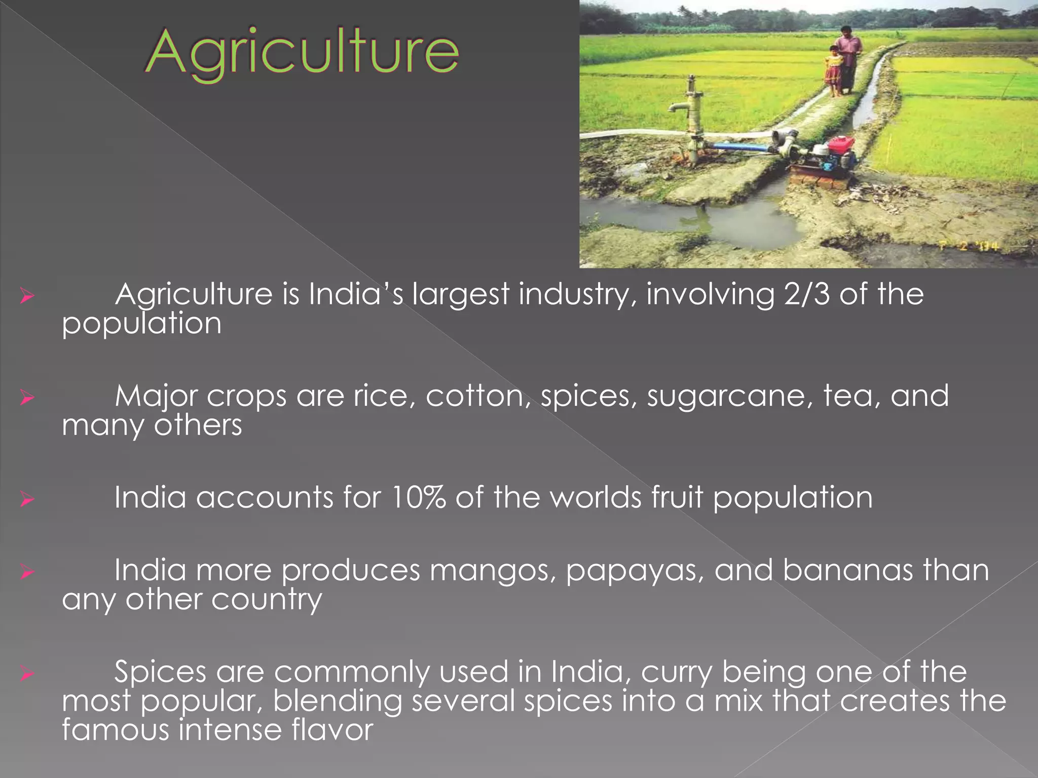 GEOGRAPHY OF INDIA | PPTX