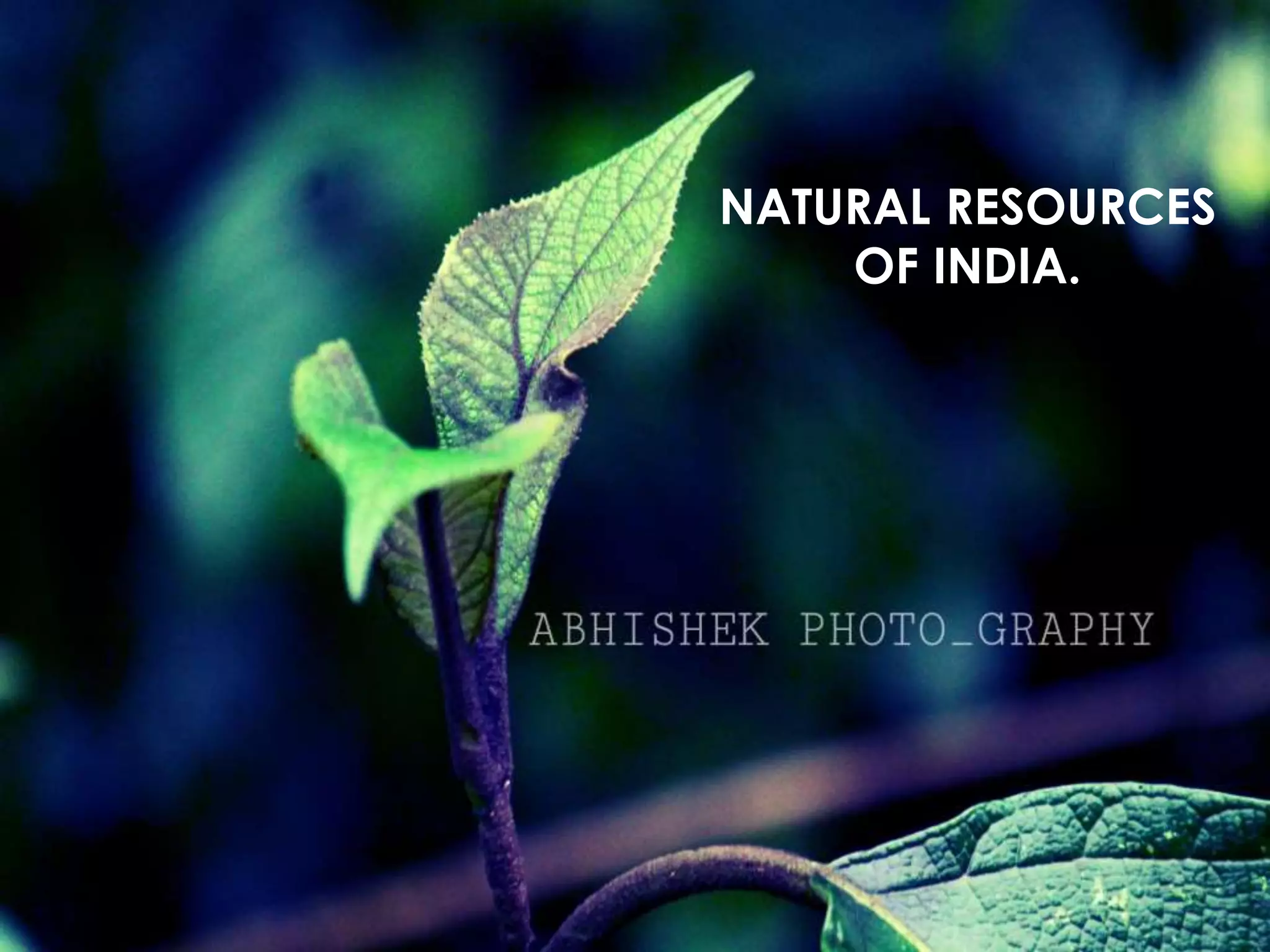 GEOGRAPHY OF INDIA | PPTX