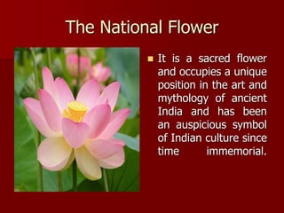 Indian-culture 22.ppt