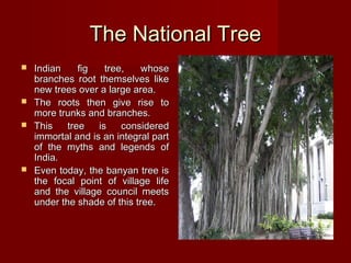 Indian culture norms & popullation | PPT