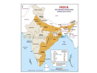 Indian Agriculture Map