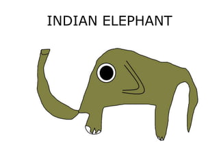 INDIAN MAMMALS.pptx