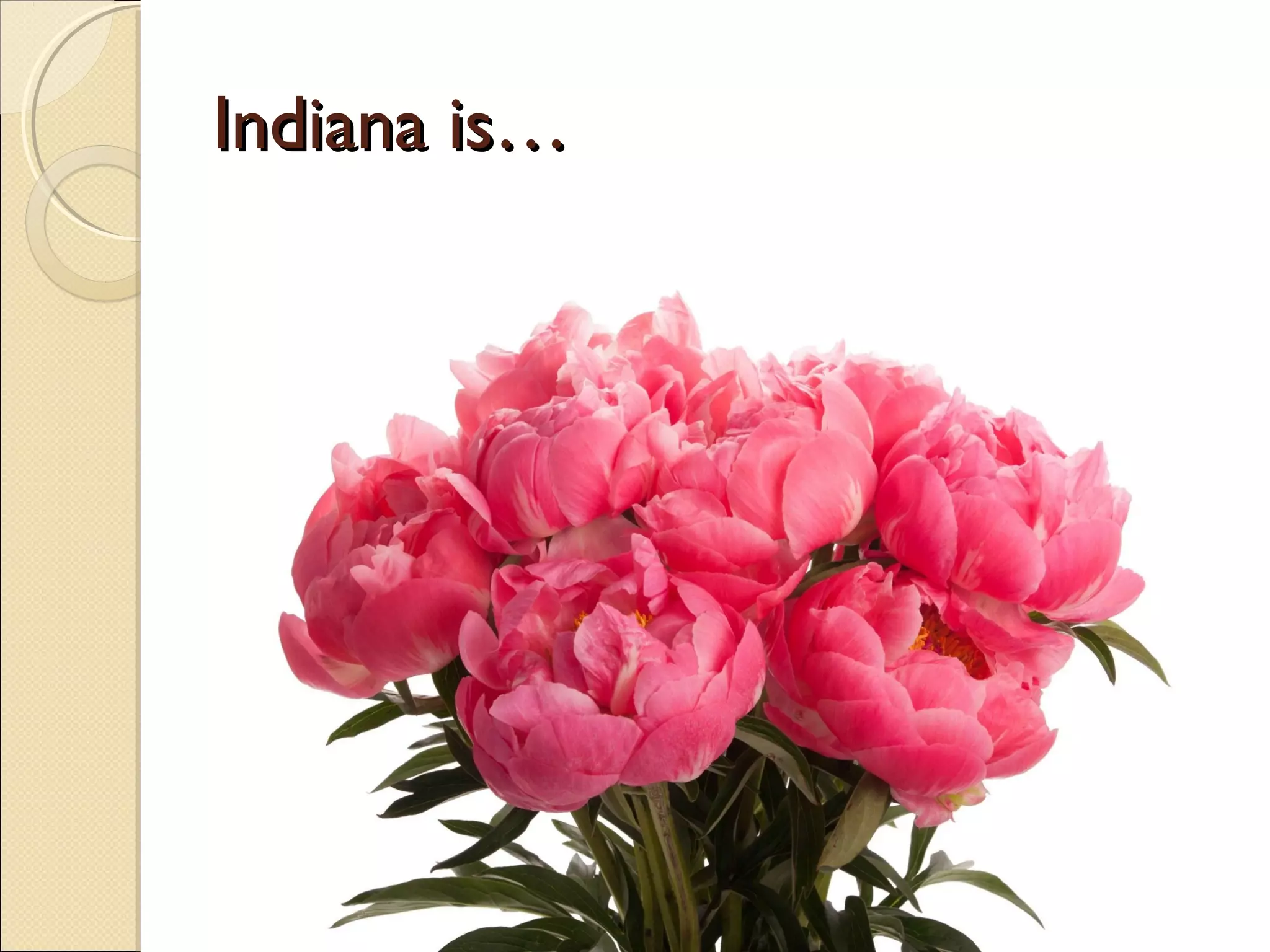 Indiana's Symbols | PPT