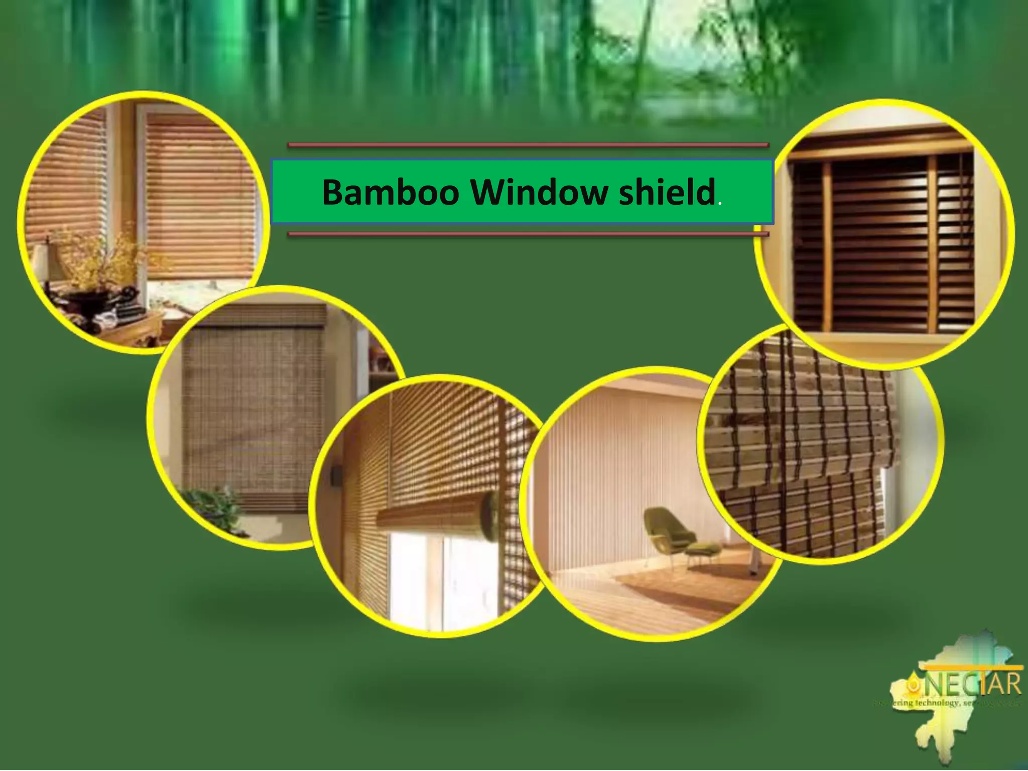 Indian bamboo - www.nectar.org.in