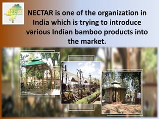 Indian bamboo - www.nectar.org.in