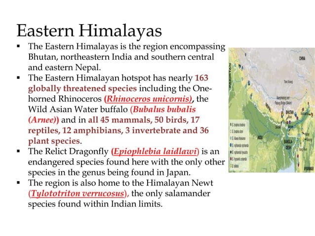 Indian biodiversity | PPTX | Geography | Science