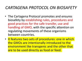 Indian Biosafety Framework.pptx