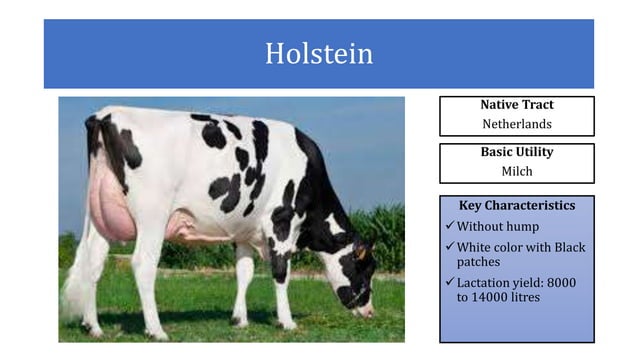 Important Indigenous Livestock Breeds of India | PDF