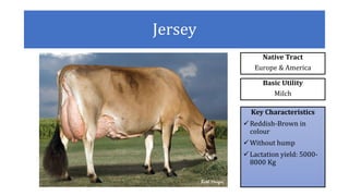 Important Indigenous Livestock Breeds of India | PDF