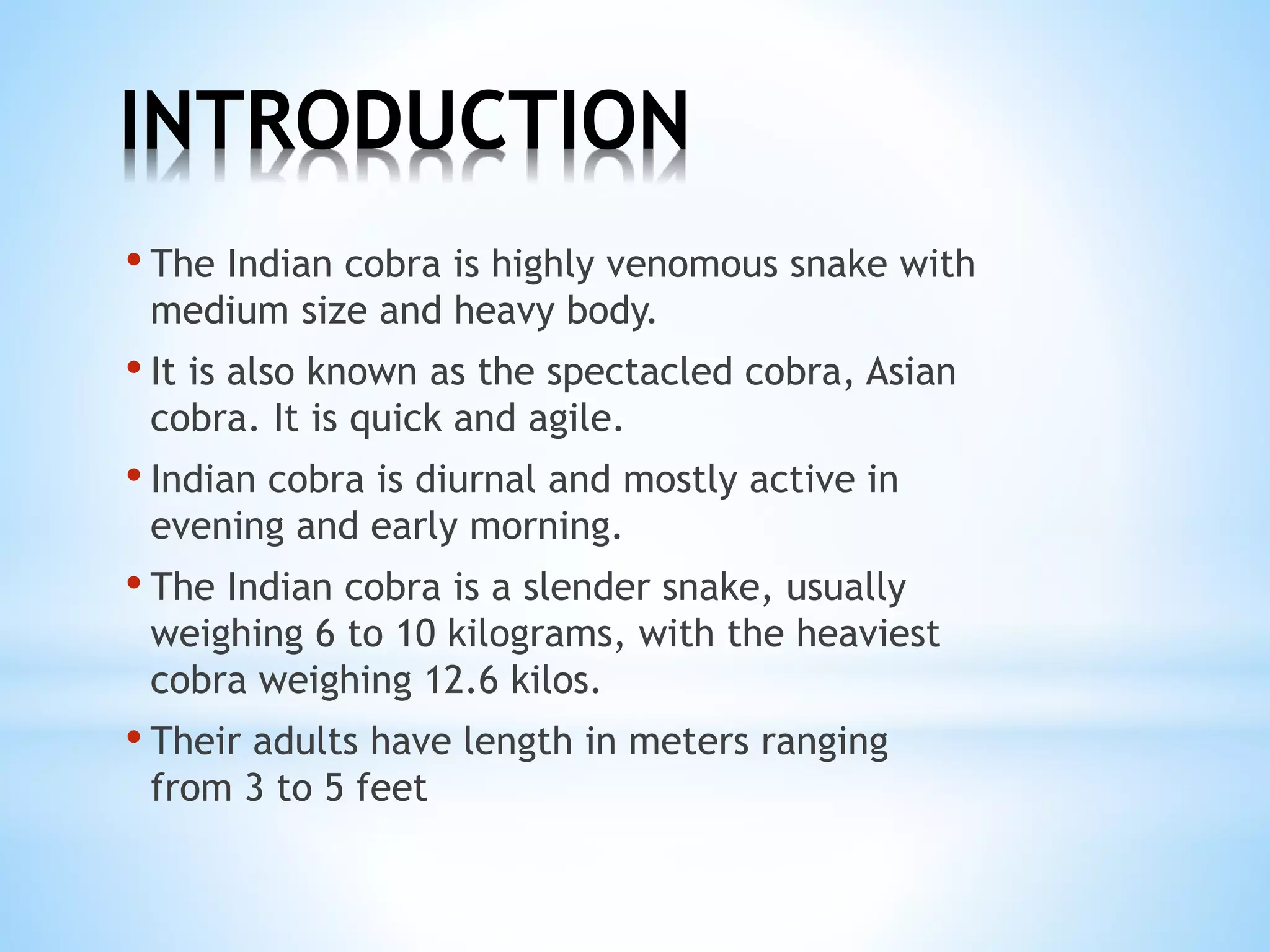 Indian Cobra | PDF