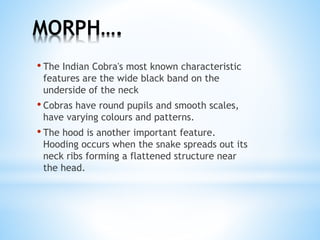 Indian Cobra | PDF