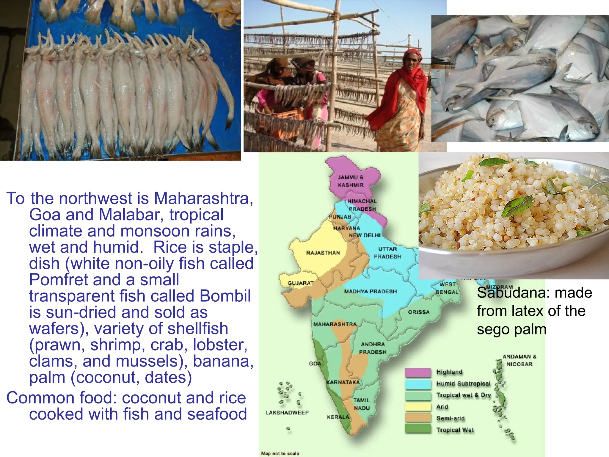 A ppt of the Indian food Indian Cuisine.ppt