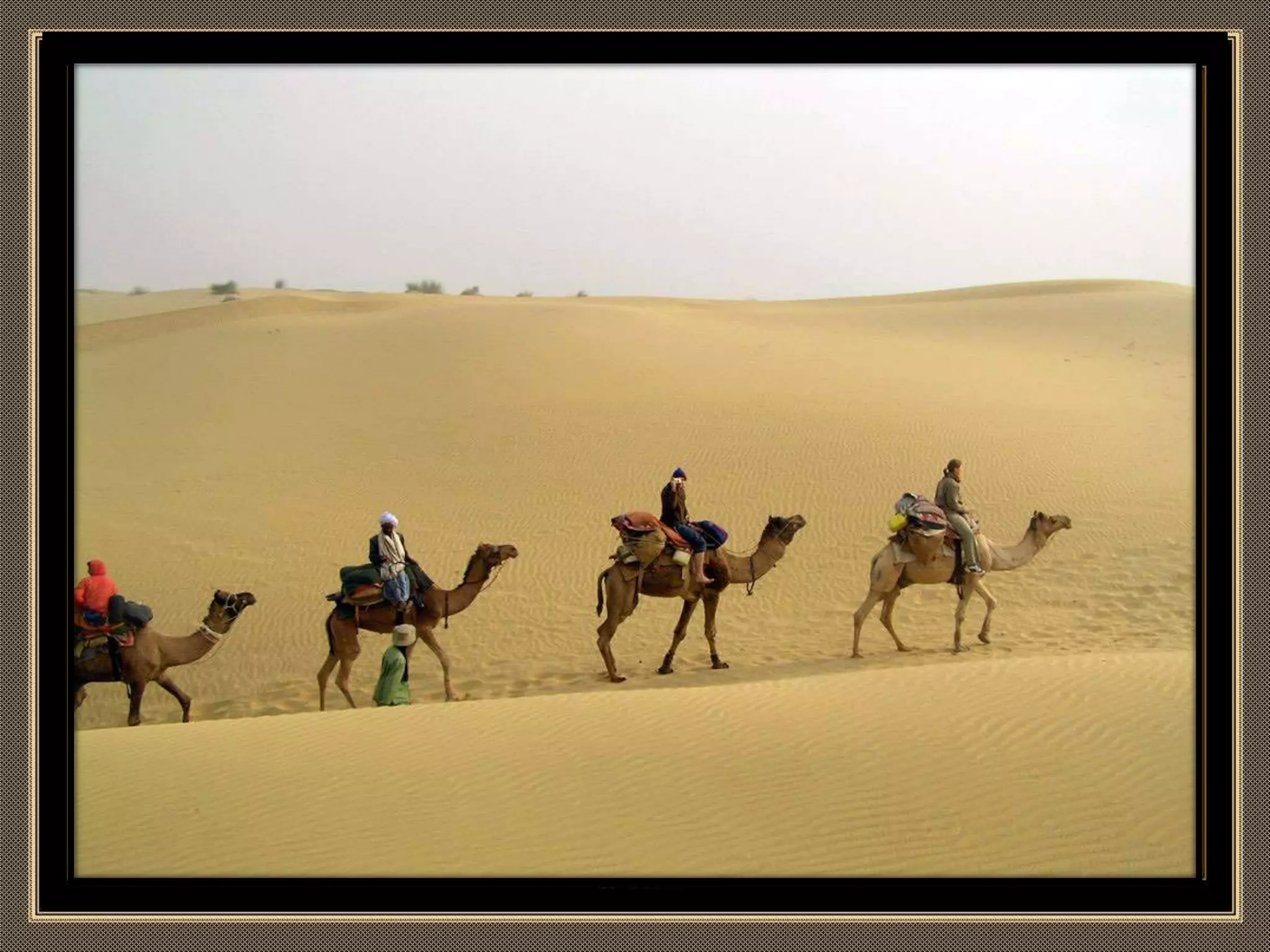 Indian deserts | PPTX
