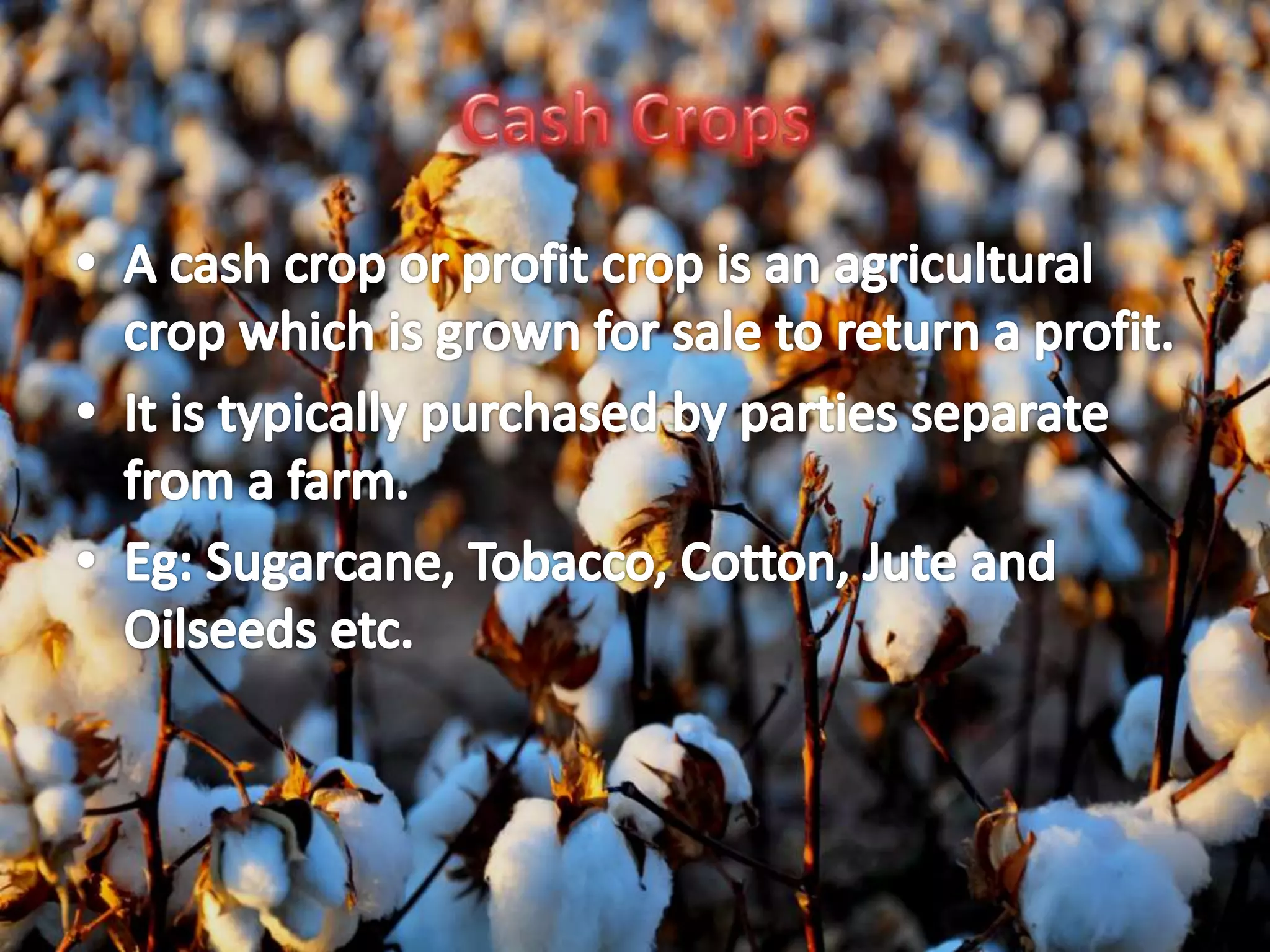 types of crops and productivity in india | PPTX