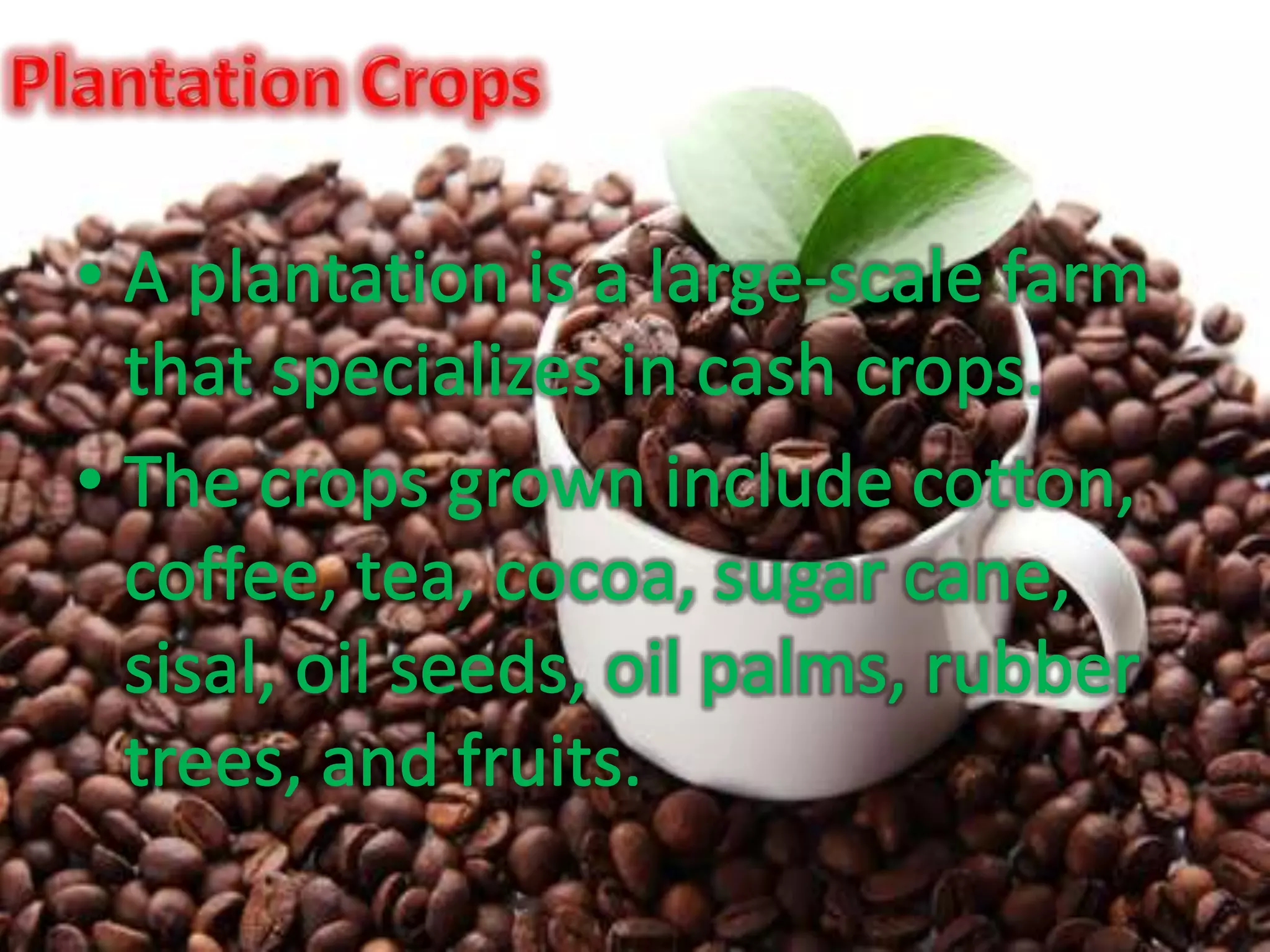 types of crops and productivity in india | PPT