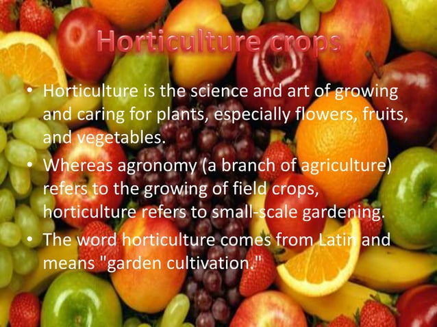 types of crops and productivity in india | PPT