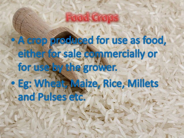 types of crops and productivity in india | PPT