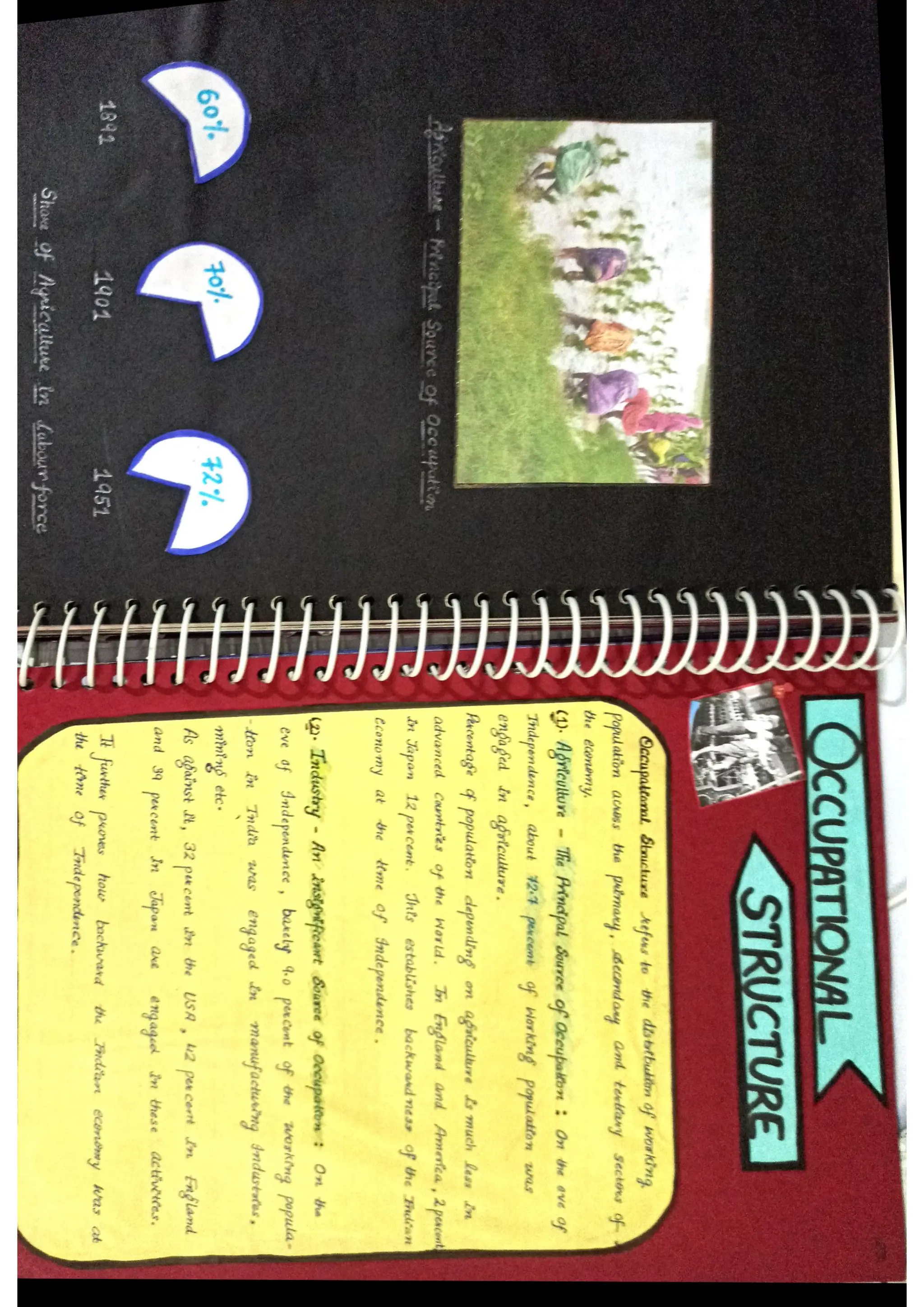 Indian economic development project class 12 | PDF