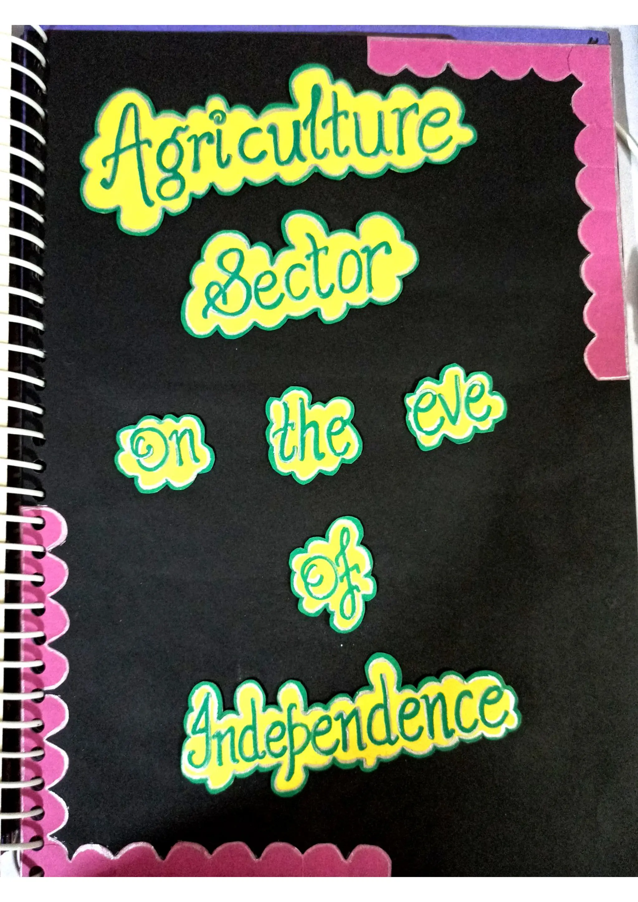 Indian economic development project class 12 | PDF