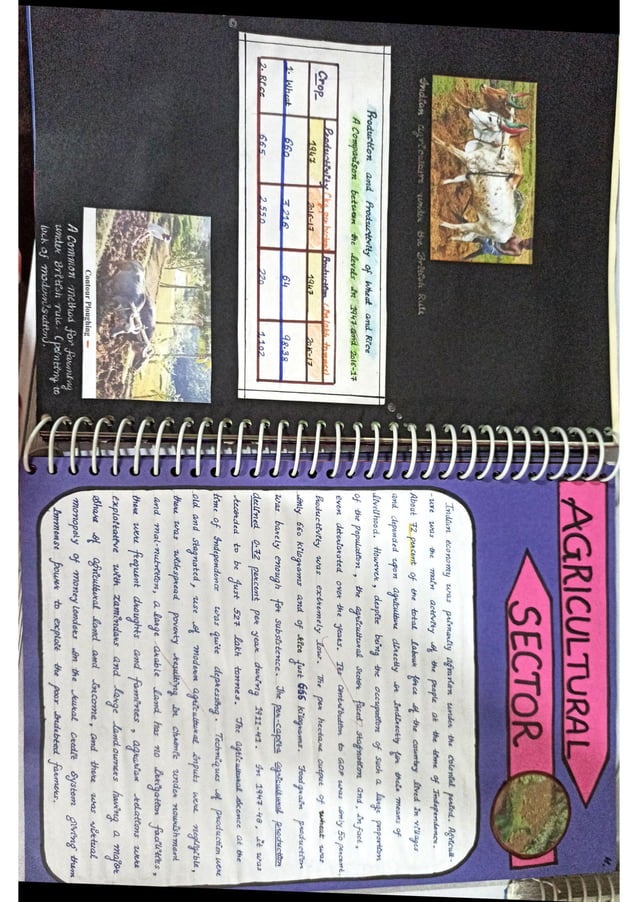 Indian economic development project class 12 | PDF