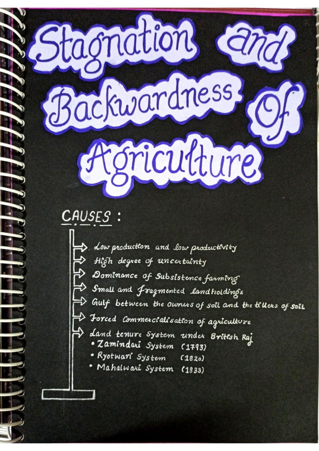 Indian economic development project class 12 | PDF