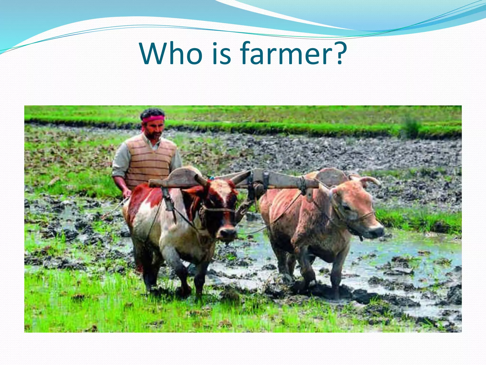 Indian farmer presentation | PPTX