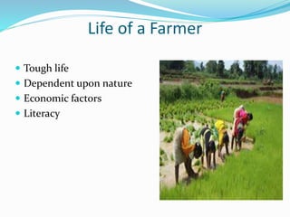 Indian farmer presentation | PPTX