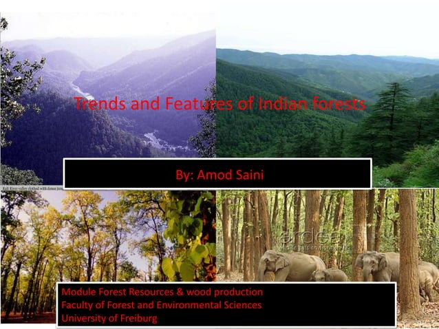 Indian forests amod saini | PPT