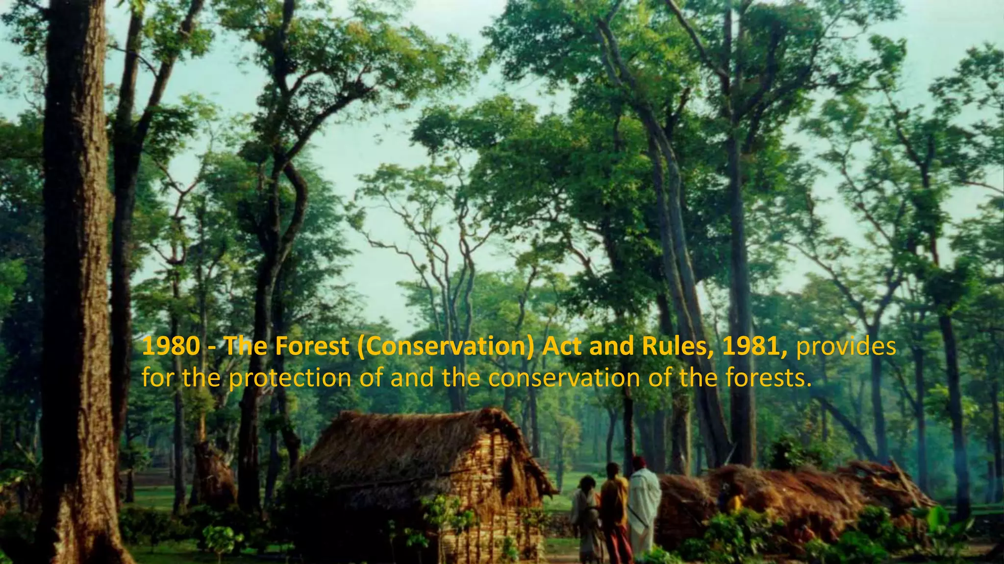 Indian government laws on environment | PPTX