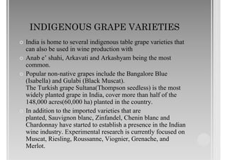 Indian Grape Varieties | PDF