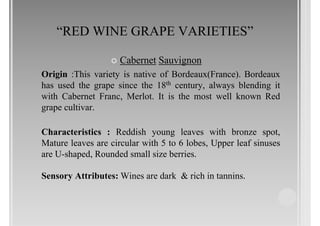 Indian Grape Varieties | PDF