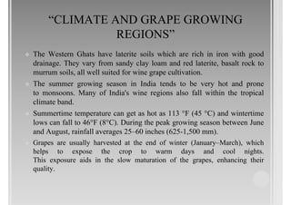Indian Grape Varieties | PDF