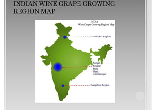 Indian Grape Varieties | PDF