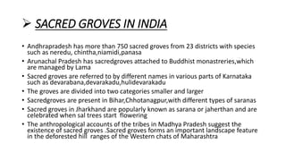 indian heritage !! (1).pptx