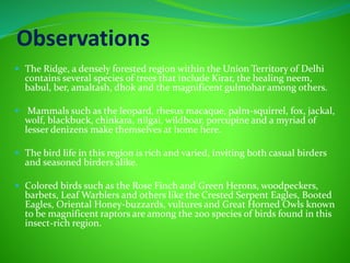 Northern Ridge Delhi.pptx ppt | PPT